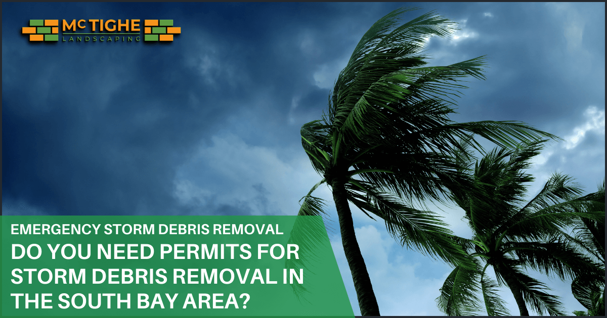 Emergency Storm Debris Removal: What South Bay Homeowners Need to Know ...